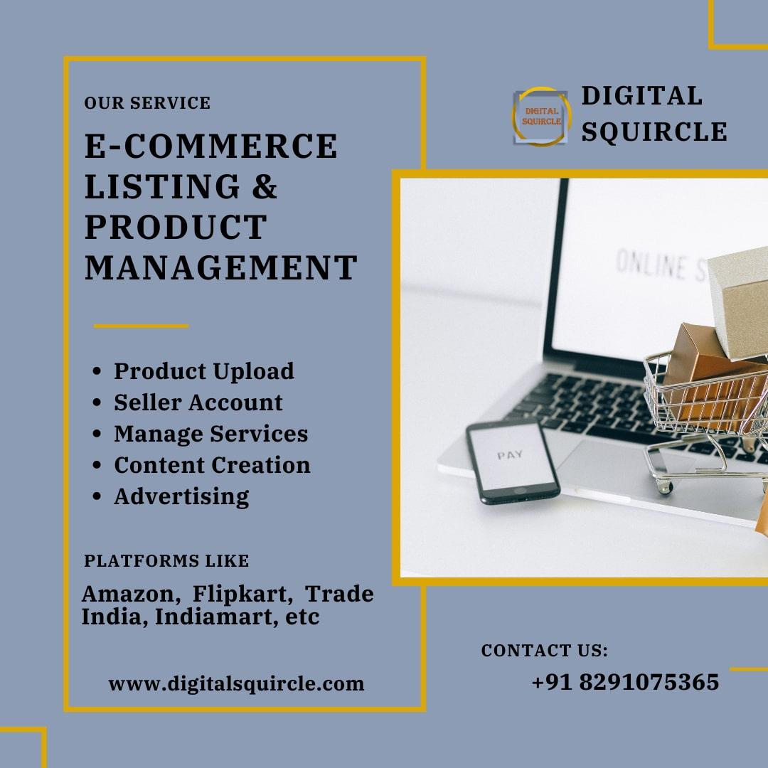 E-Commerce Setup Services in India- Digital Squircle
